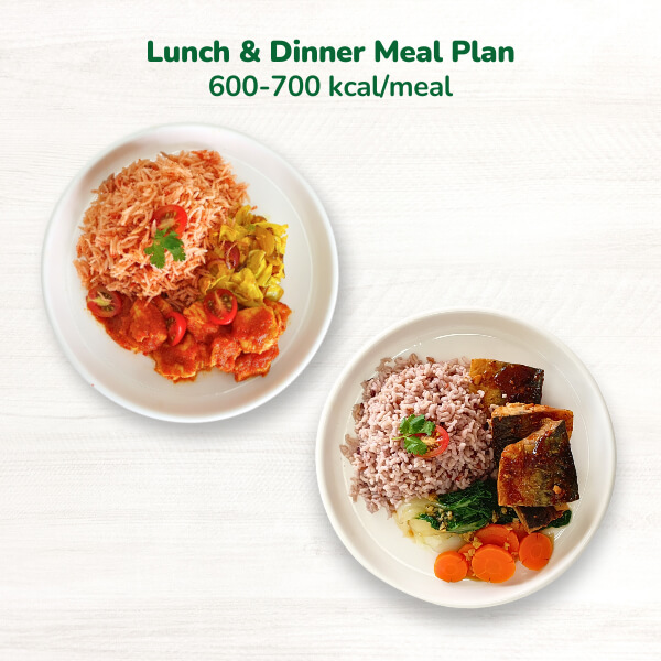 Lunch & Dinner Meal Plan (600-700 kcal / meal) | Diet Your Way